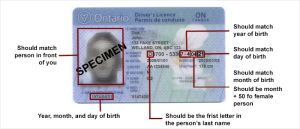 The Personal Information About You On Your Ontario Drivers Licence ...